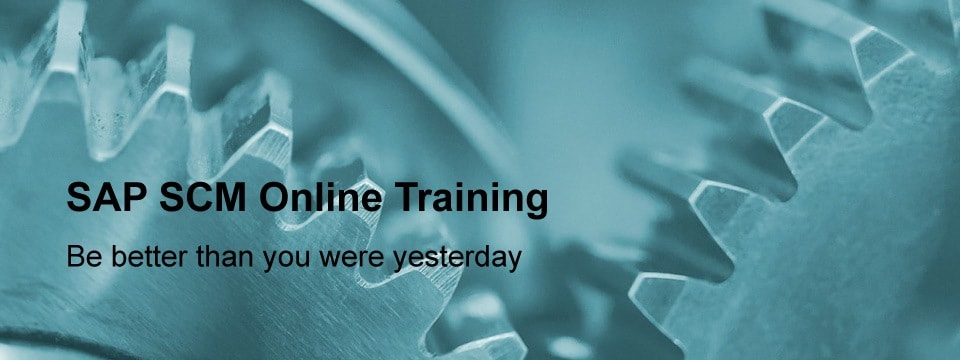 SAP APO Training | SAP SCM Training Course - LearnSAP SAP APO Training | SAP SCM Training Course - LearnSAP